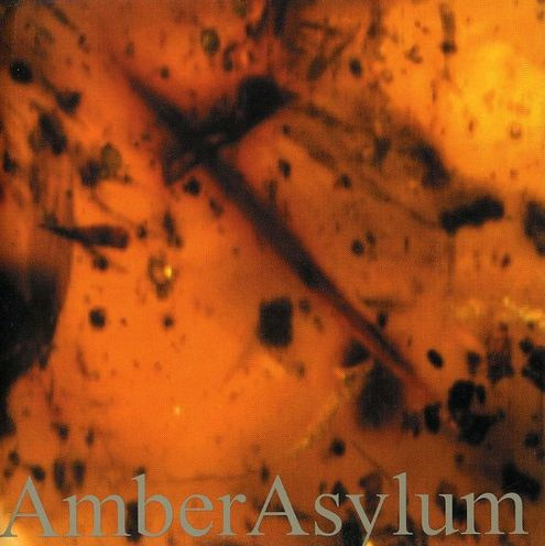 Frozen in Amber [Bonus Tracks] by Amber Asylum | CD | Barnes & Noble®