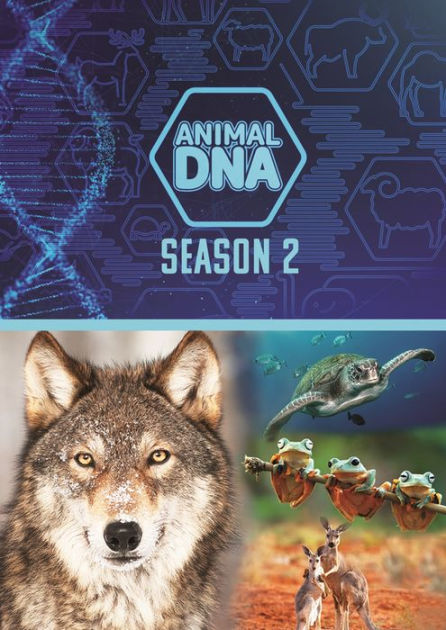 Animal DNA: Season Two by Animal Dna: Season Two | DVD | Barnes & Noble®