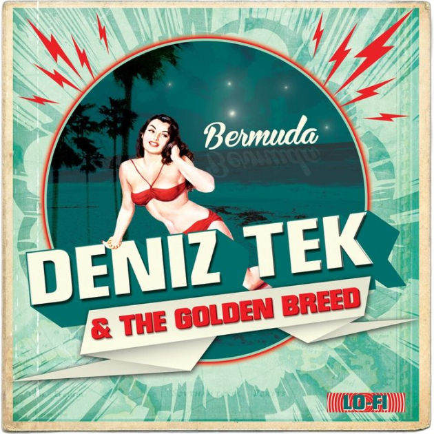 Bermuda by Deniz Tek & the Golden Breed | Vinyl 7" Single | Barnes & Noble®