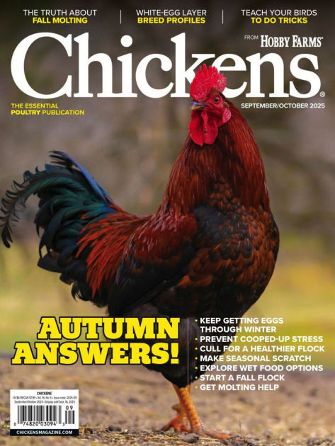 Chicken Magazine