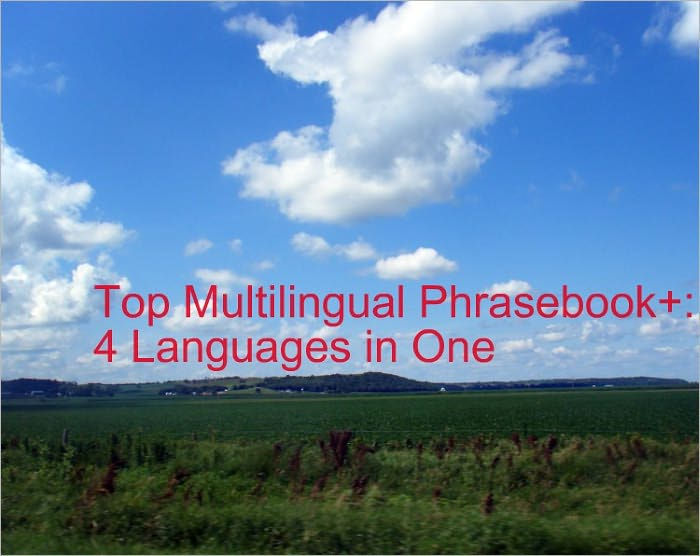 The Top Haitian Creole Multilingual Phrasebook+ : Read Free and Learn 4 ...