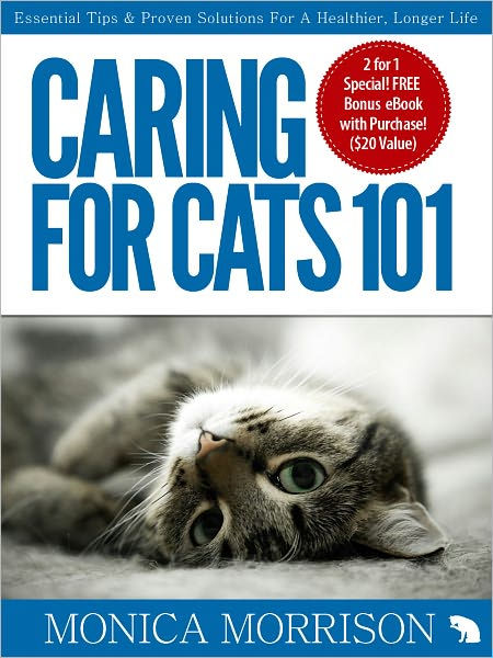 Caring For Cats 101: Essential Tips & Proven Solutions For A Healthier ...