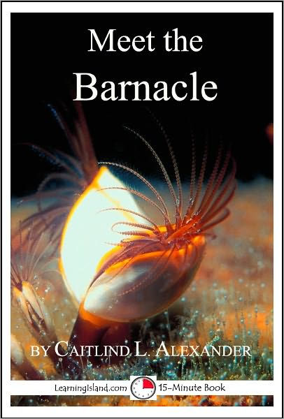Meet the Barnacle: A 15-Minute Book for Early Readers by Caitlind Alexander | eBook | Barnes ...