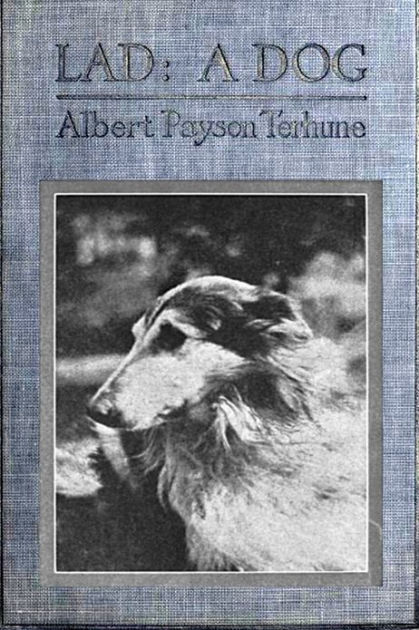 Lad: A Dog by Albert Payson Terhune by Albert Payson Terhune | eBook ...