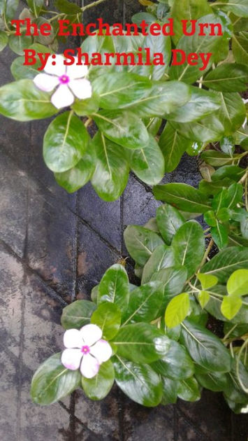 The Enchanted Urn by Sharmila Dey | eBook | Barnes & Noble®