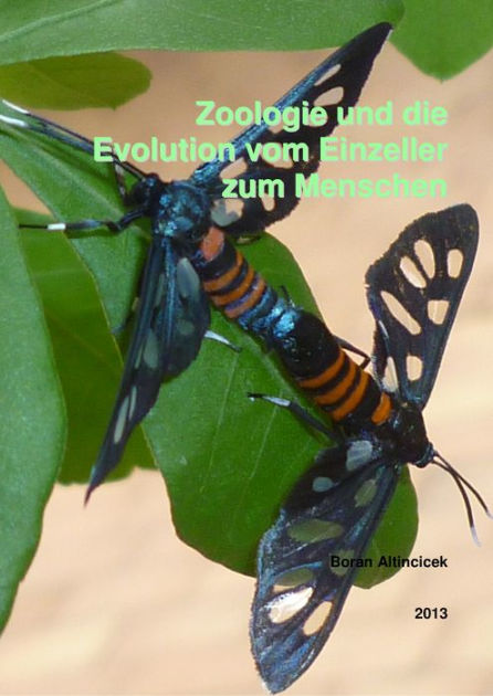 Zoologie und die Evolution vom Einzeller zum Menschen by Boran Altincicek | eBook | Barnes & Noble®