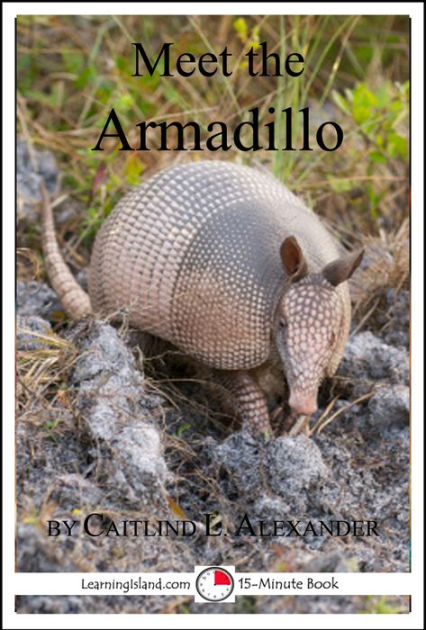 Meet the Armadillo: A 15-Minute Book for Early Readers by Caitlind Alexander | eBook | Barnes ...