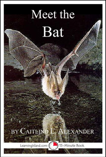 Meet the Bat: A 15-Minute Book for Early Readers by Caitlind Alexander | eBook | Barnes & Noble®