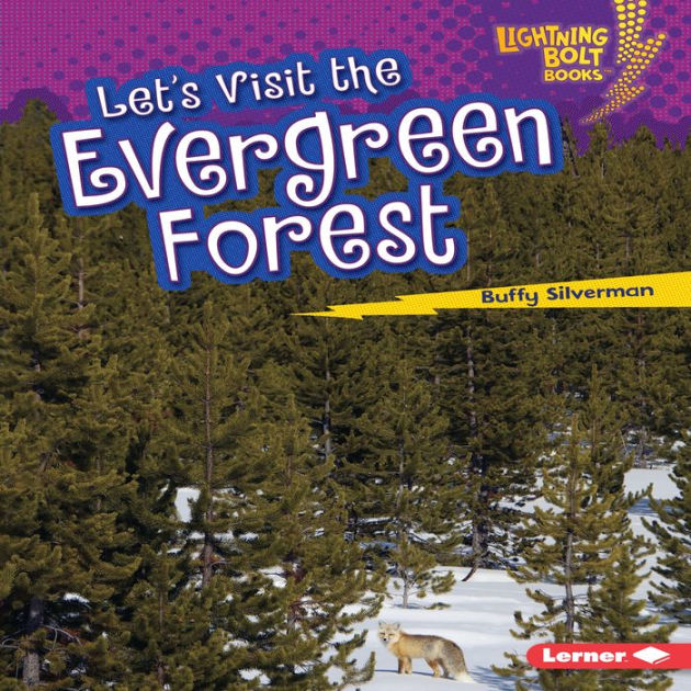 Let's Visit the Evergreen Forest by Buffy Silverman, Intuitive ...