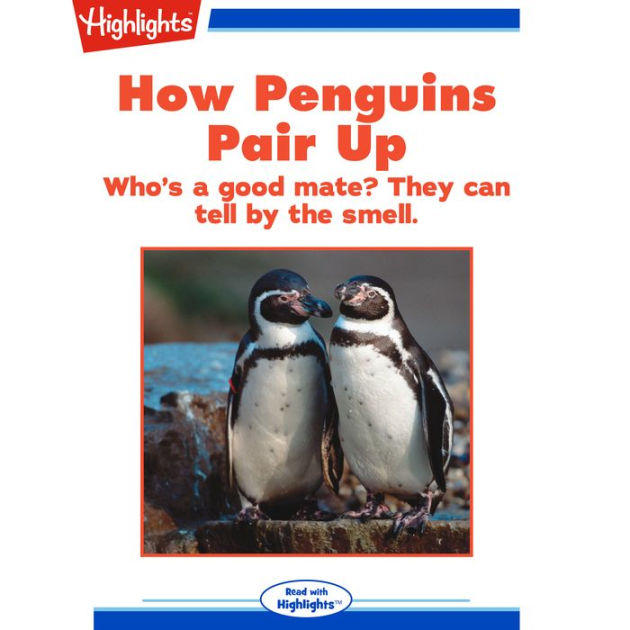 How Penguins Pair Up: Who's a good mate? They can tell by the smell. by ...