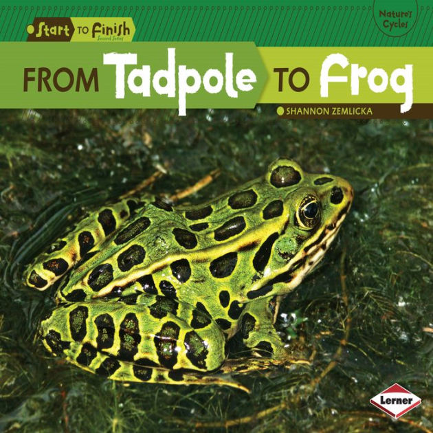 From Tadpole to Frog by Shannon Zemlicka, Paperback | Barnes & Noble®