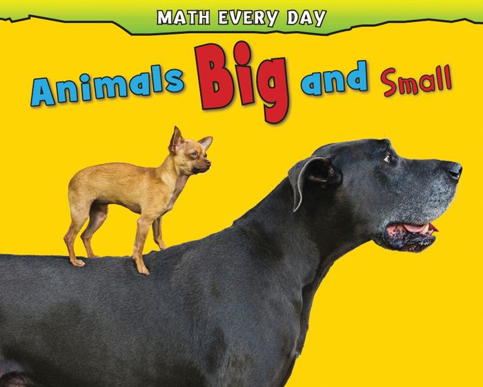 Animals Big and Small by Daniel Nunn, Paperback | Barnes & Noble®