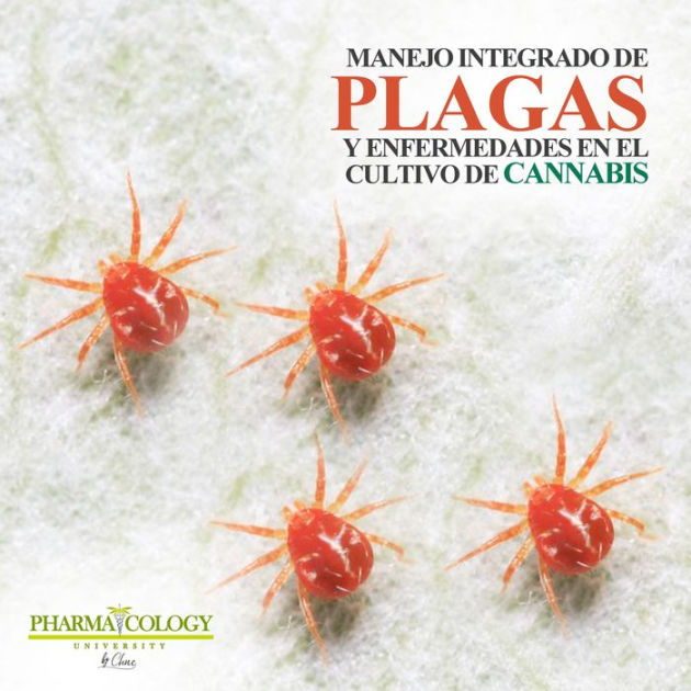 Manejo integrado de plagas y enfermedades en el cultivo de cannabis by Pharmacology University ...