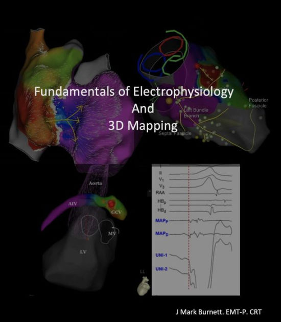 Fundamentals of Electrophysiology and 3D Mapping by J Mark Burnett | eBook | Barnes & Noble®