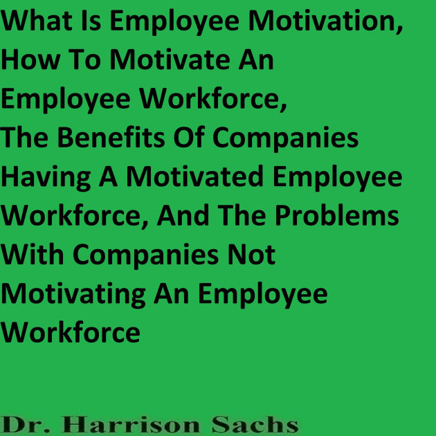 What Is Employee Motivation, The Different Types Of Employee Motivation ...