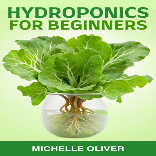HYDROPONICS FOR BEGINNERS: A Step-by-Step Guide to Growing Plants ...