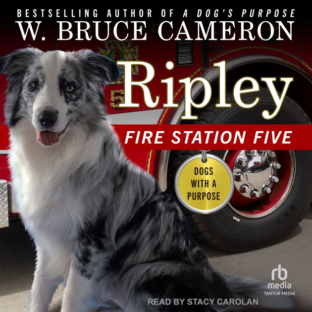 Ripley: Fire Station Five by W. Bruce Cameron, Stacy Carolan | 2940193493747 | Audiobook ...