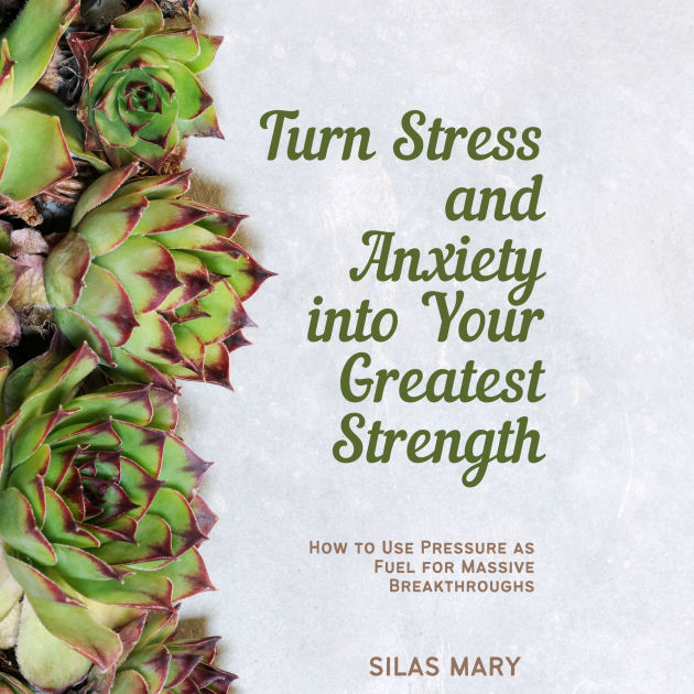 Turn Stress and Anxiety into Your Greatest Strength: How to Use ...
