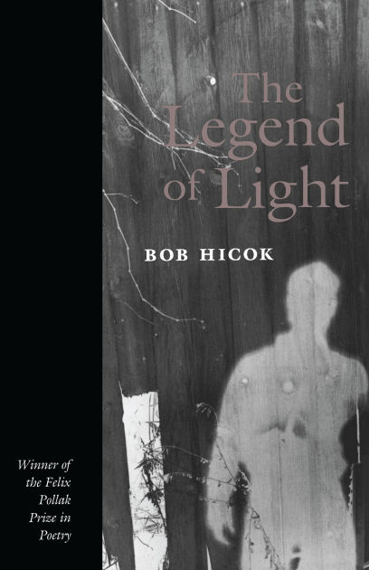 The Legend of Light by Bob Hicok, Paperback | Barnes & Noble®