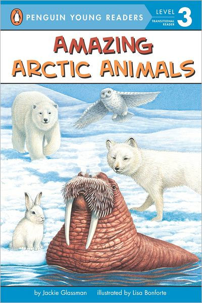 Amazing Arctic Animals by Jackie Glassman, Lisa Bonforte, Paperback ...