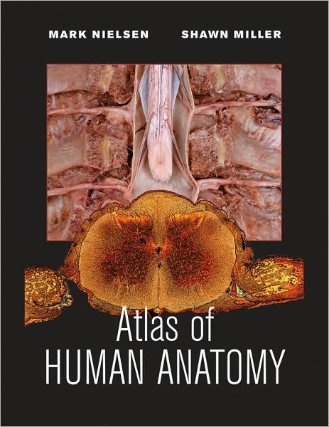 Atlas of Human Anatomy / Edition 1 by Mark Nielsen, Shawn D. Miller ... Atlas of Human Anatomy / Edition 1 by Mark Nielsen, Shawn D. Miller ...