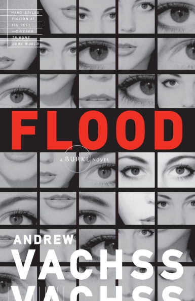 Flood (Burke Series #1) by Andrew Vachss, Paperback | Barnes & Noble®