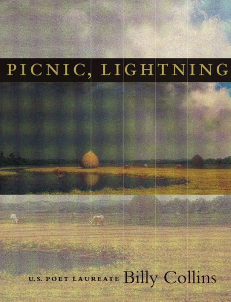 Picnic, Lightning by Billy Collins, Paperback | Barnes & Noble®