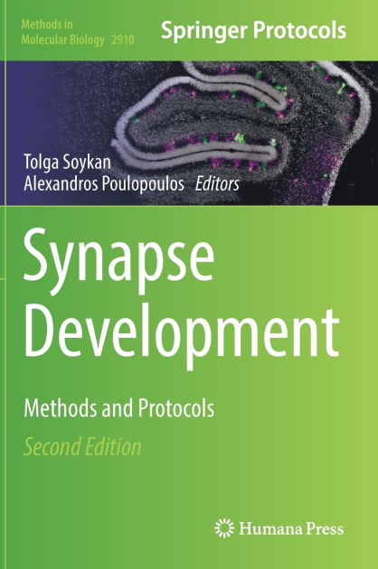 Synapse Development: Methods and Protocols by Tolga Soykan | eBook | Barnes & Noble®