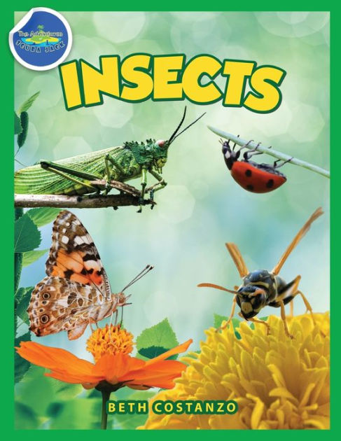 Bugs in My Backyard for Kids: Storybook, Insect Facts, and Activities ...