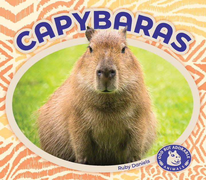 Capybaras by Ruby Daniels, Hardcover | Barnes & Noble®