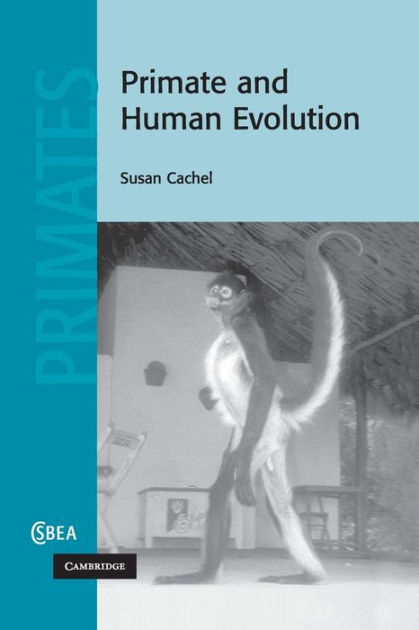 Primate and Human Evolution by Susan Cachel, Paperback | Barnes & Noble®