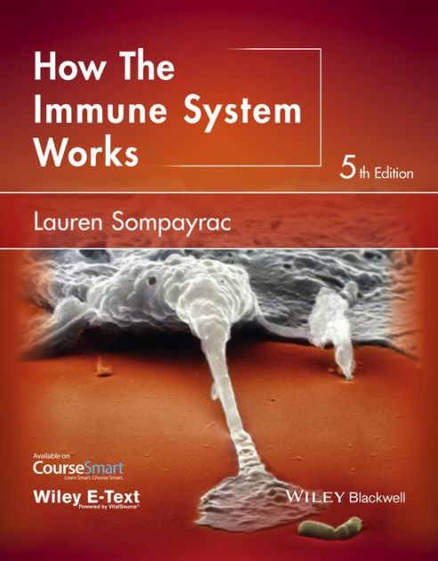 How the Immune System Works / Edition 5 by Lauren M. Sompayrac ... How the Immune System Works / Edition 5 by Lauren M. Sompayrac ...
