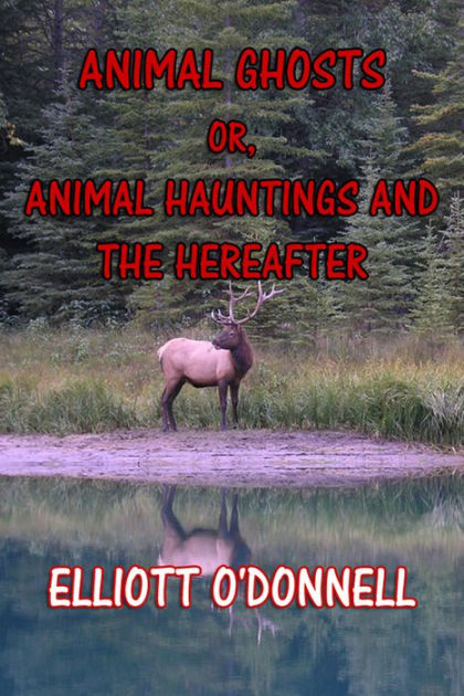 Animal Ghosts: Animal Hauntings and The Hereafter by Elliott O'Donnell ... Animal Ghosts: Animal Hauntings and The Hereafter by Elliott O'Donnell ...