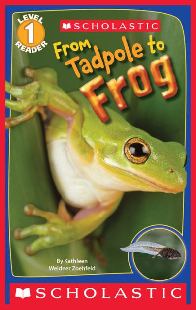 From Tadpole to Frog (Scholastic Reader, Level 1) by Kathleen Weidner ...
