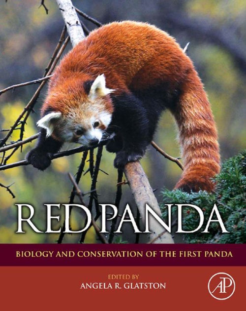 Red Panda: Biology and Conservation of the First Panda by Angela R ...