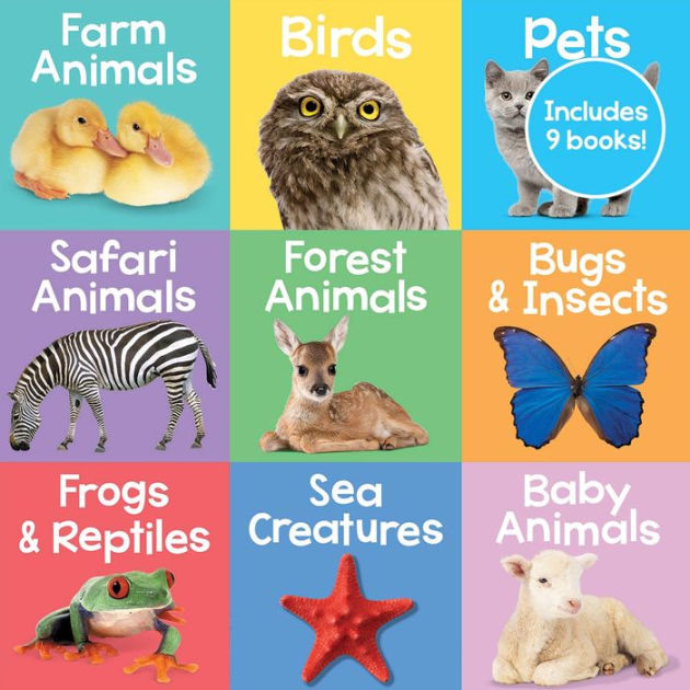 My Little Learning Library: Animals by Hinkler Books, Other Format ...