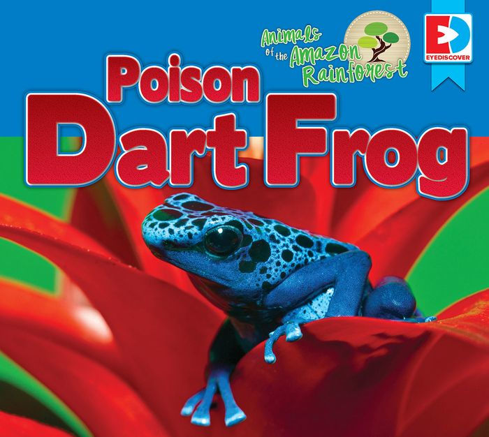 Animals of the Amazon Rainforest: Poison Dart Frog by Katie Gillespie ...