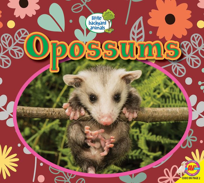 Opossums by Heather Kissock | eBook | Barnes & Noble®