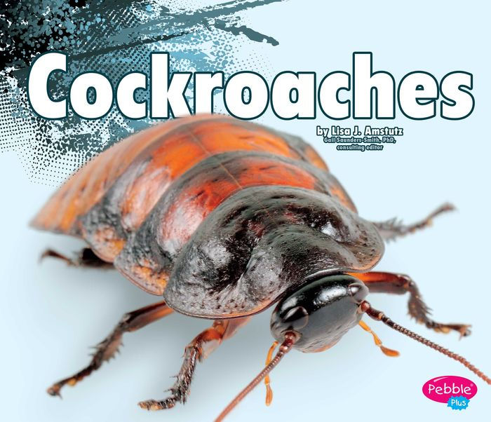 Cockroaches by Lisa J. Amstutz | eBook (NOOK Kids) | Barnes & Noble®