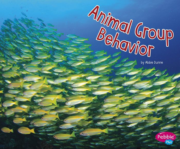 Animal Group Behavior by Abbie Dunne, Paperback | Barnes & Noble®
