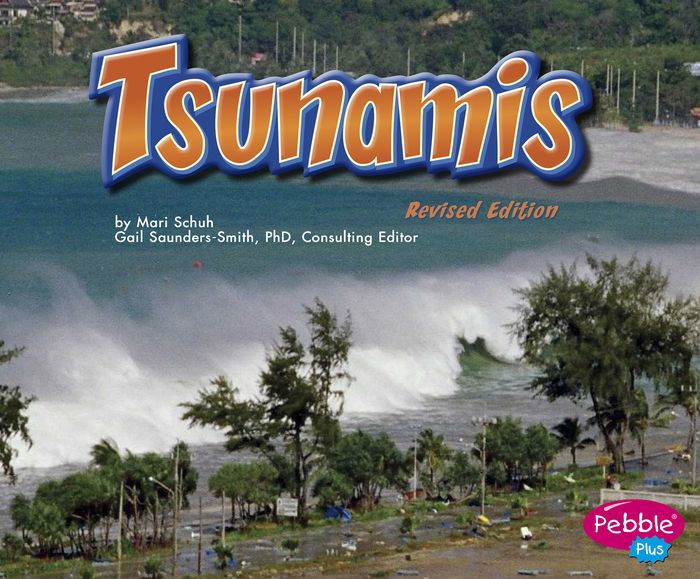 Tsunamis by Mari Schuh, Paperback | Barnes & Noble®