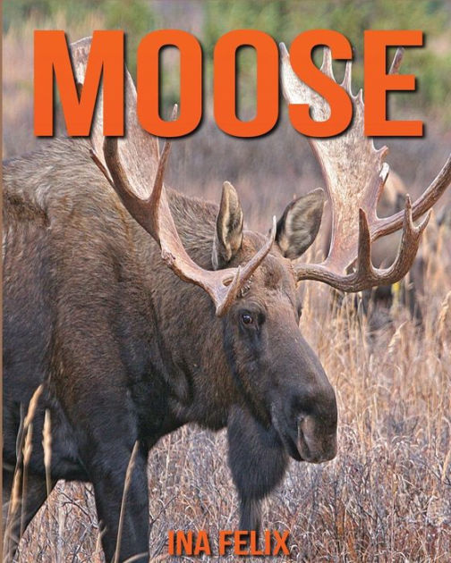 Moose: Children Book of Fun Facts & Amazing Photos on Animals in Nature ...