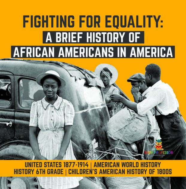 Fighting for Equality : A Brief History of African Americans in America ...