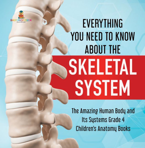 Everything You Need To Know About The Skeletal System The Amazing Human everything-you-need-to-know-about-the-skeletal-system-the-amazing-human