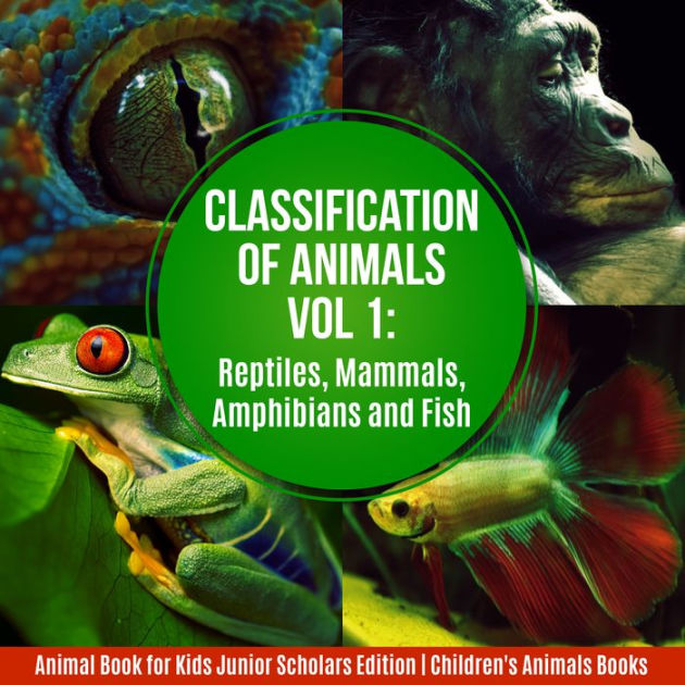 Classification of Animals Vol 1 : Reptiles, Mammals, Amphibians and ...