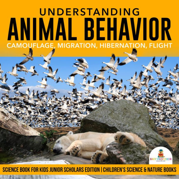 Understanding Animal Behavior : Camouflage, Migration, Hibernation ...