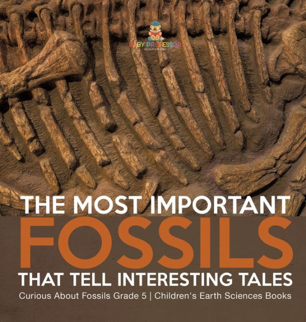 The Most Important Fossils That Tell Interesting Tales Curious About