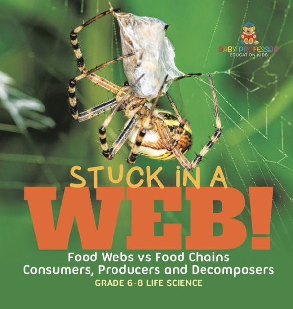 Stuck in a Web! Food Webs vs Food Chains Consumers, Producers and ...