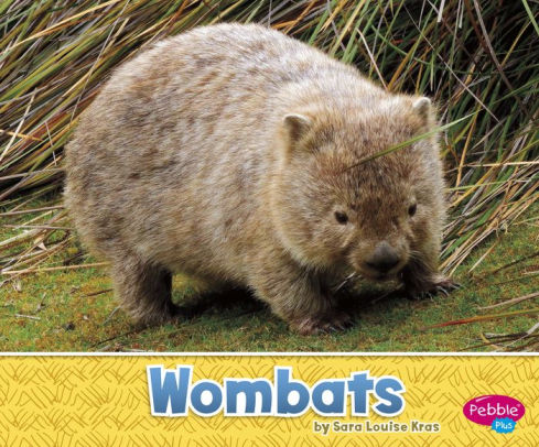 Wombats: A 4D Book by Sara Louise Kras | NOOK Book (NOOK Kids eBook ...
