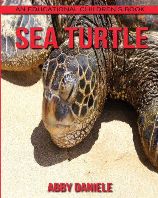Sea Turtle! An Educational Children's Book about Sea Turtle with Fun ...